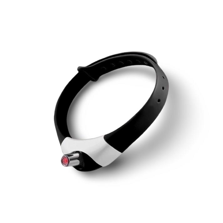 Interactive Laser Collar – Lululoo